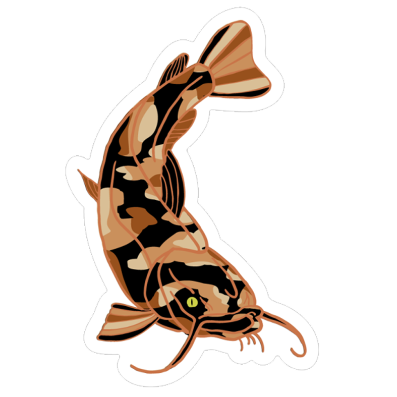 Calico Catfish Sticker | Bryson City Outdoors